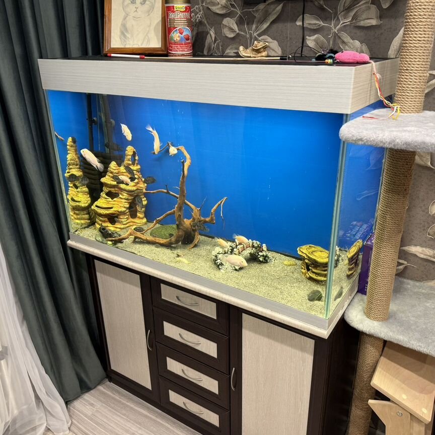 Аквариум 300 л с оборудованием