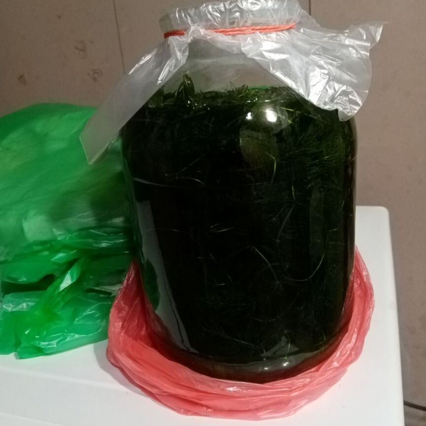 Роголистник в аквариум