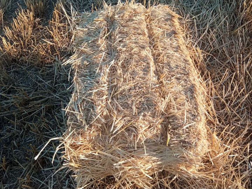 Солома в тюках
