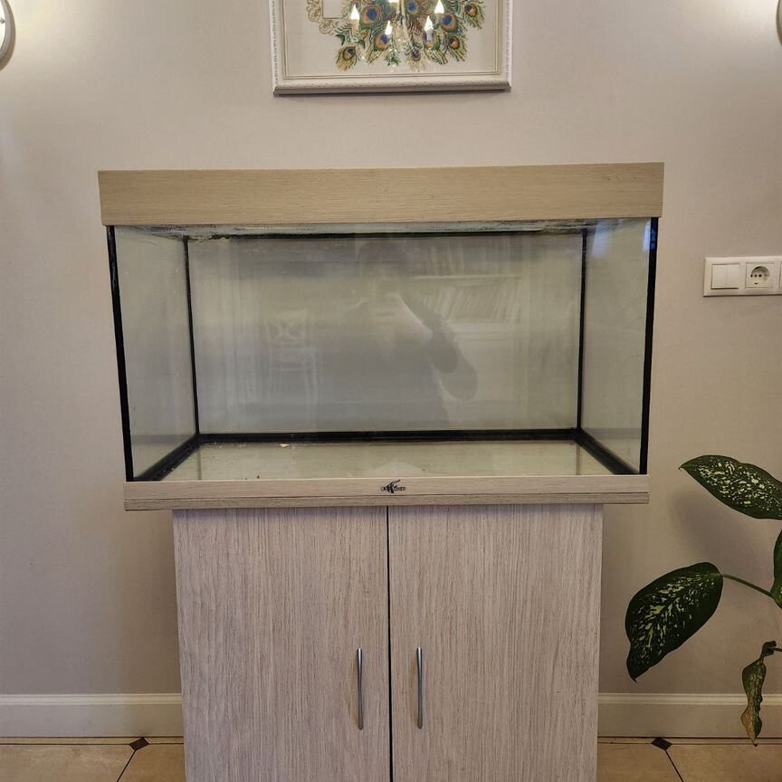 Аквариум "Биодизайн" с тумбой 150 литров