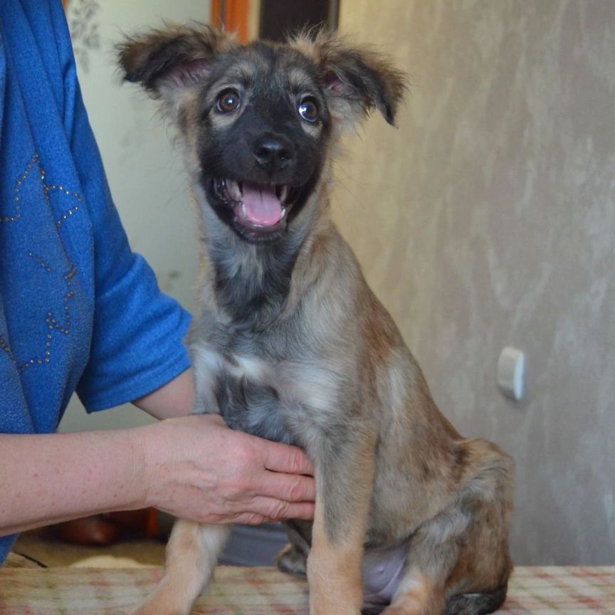 Красотка Мила