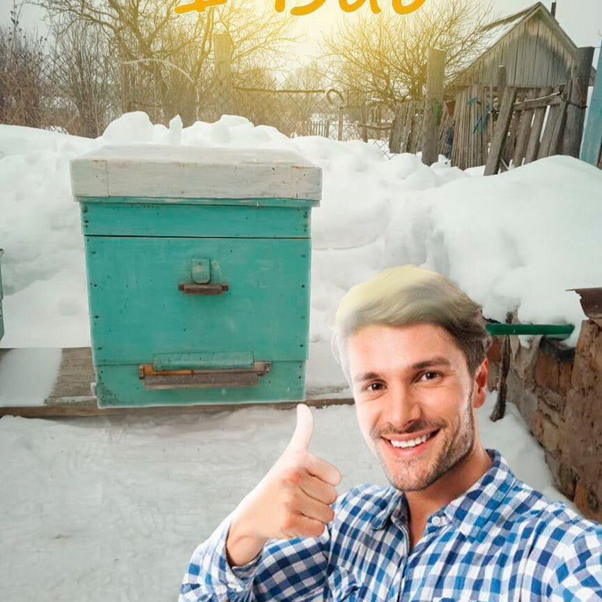 К продаже имеется 3 вида ульев