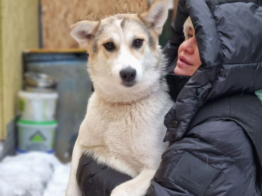 Собака в добрые руки, Мона