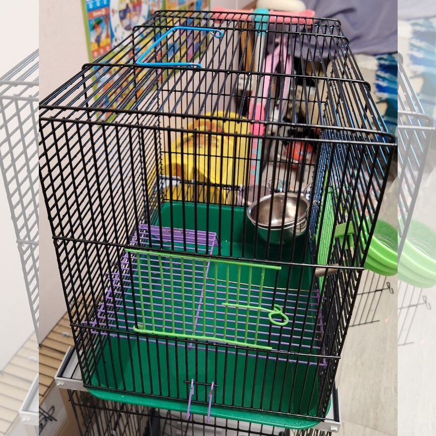 Клетка для грызунов бу