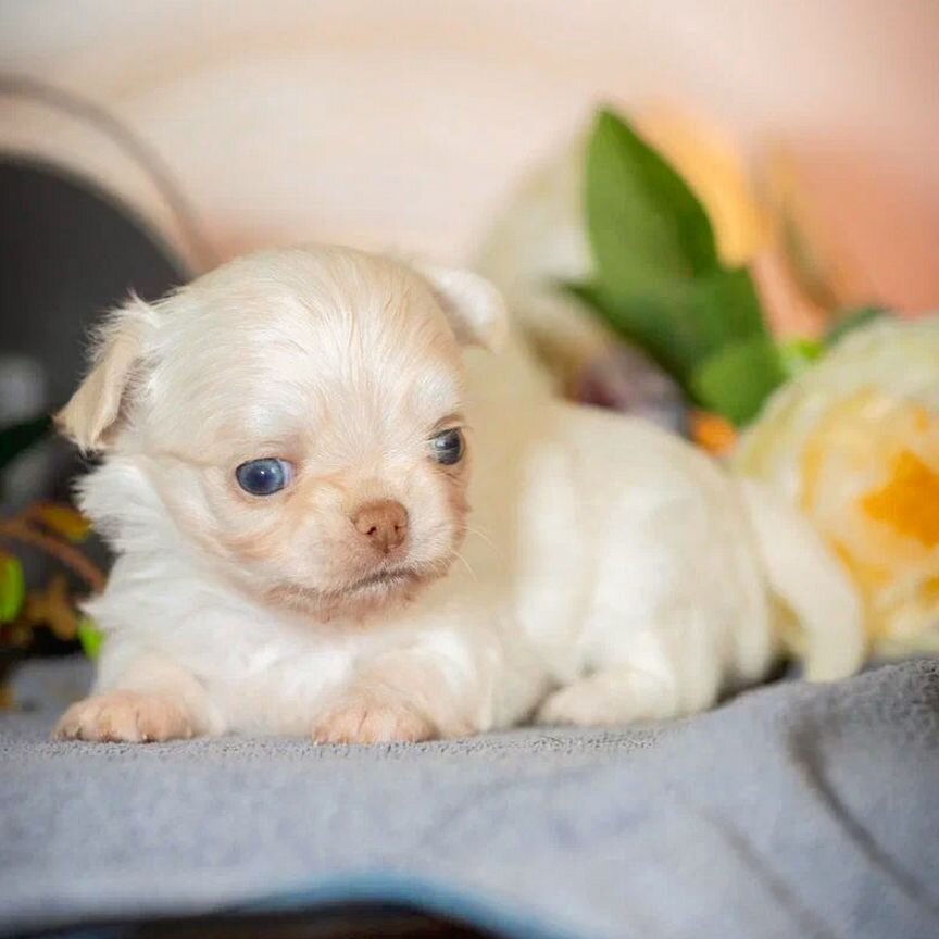 Космические детки ждут Вас