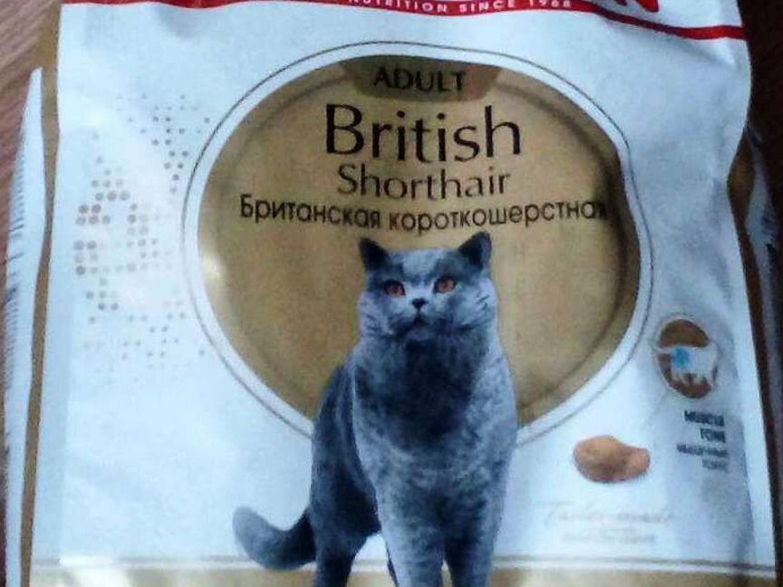 Корм для кошек роял канин Британец 4кг royal canin