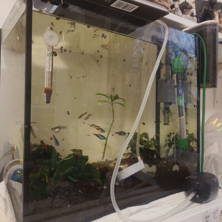 Аквариум с рыбками