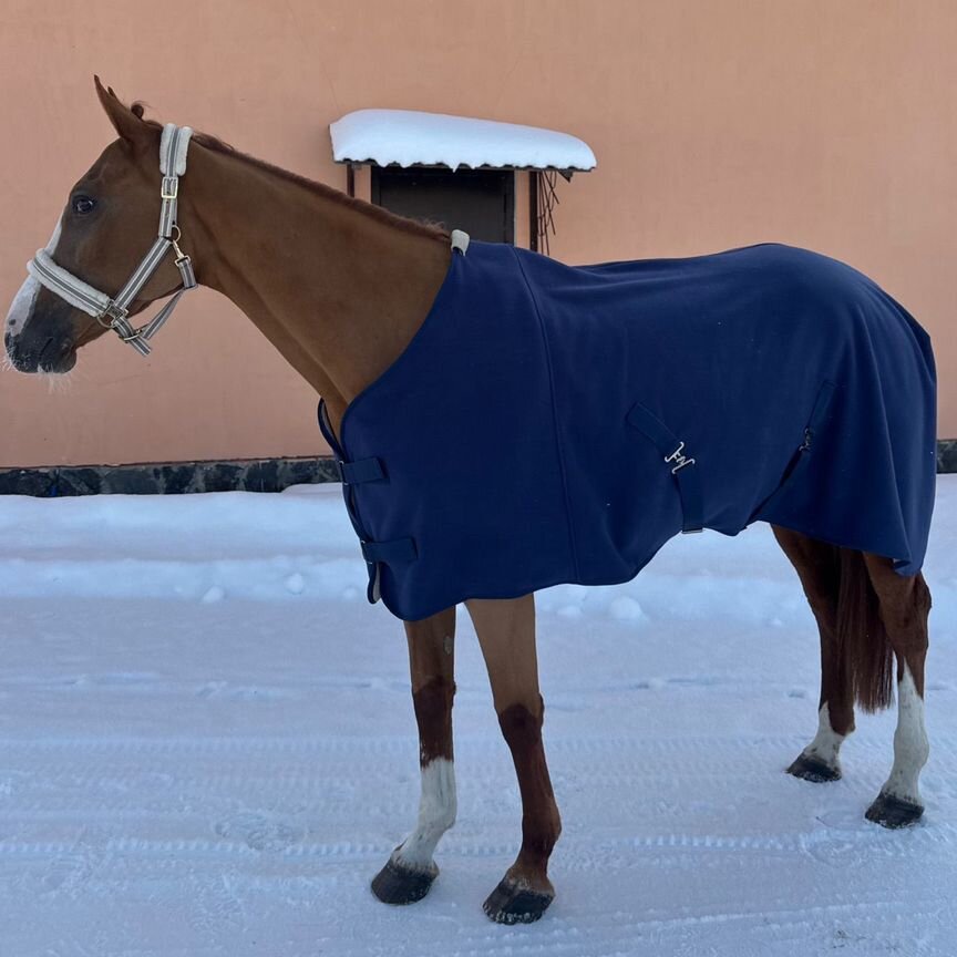 Попона денниковая теплая