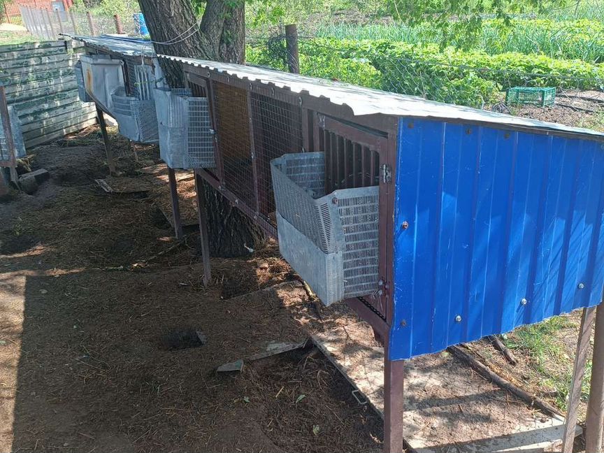 Кролятники