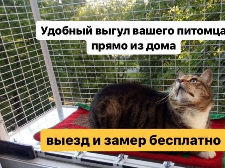 Балкончик для выгула кошки
