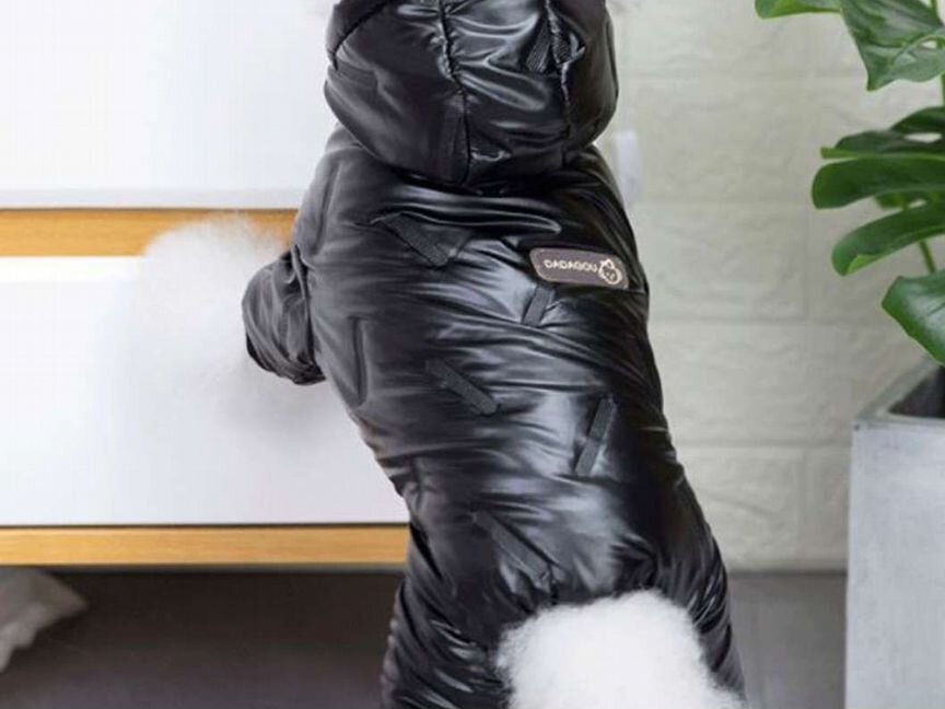 Комбинезон зимний для шпица и других мелких пород