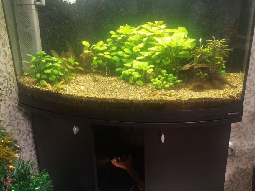 Аквариум ferplast