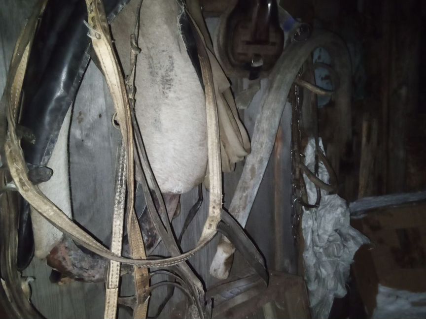 Сбруя, упряж, хомут 3. Без пересыла