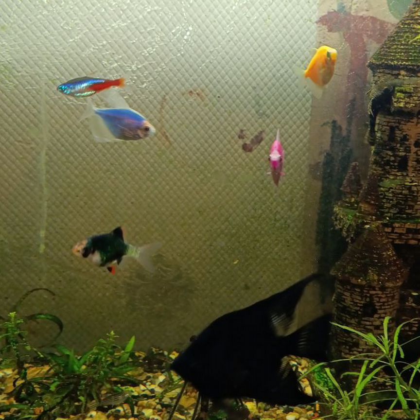 Аквариум с тумбой