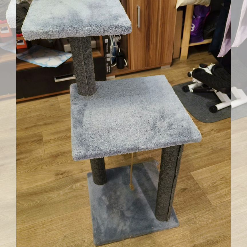 Когтеточка