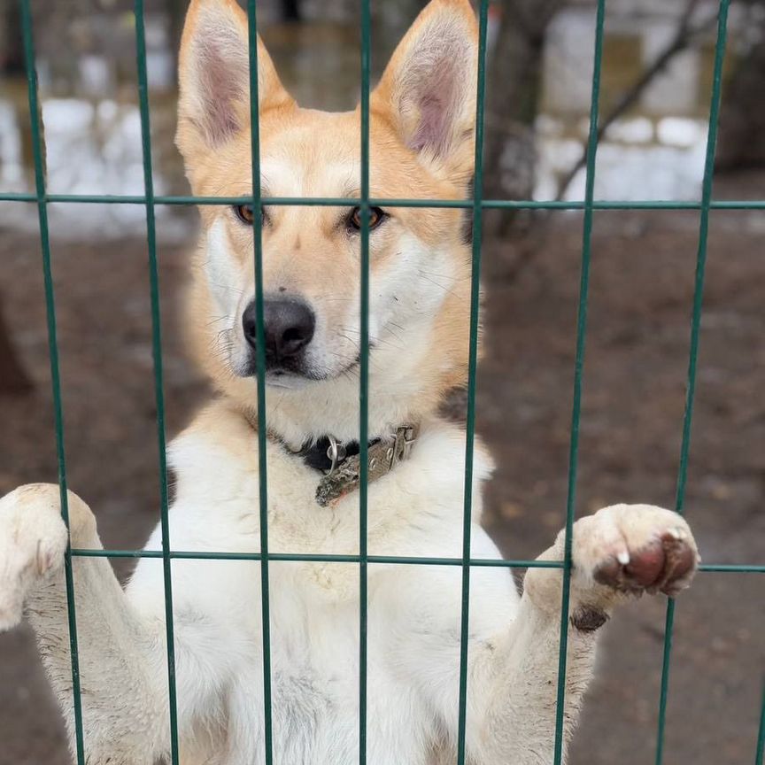Вихрь скучает без человека