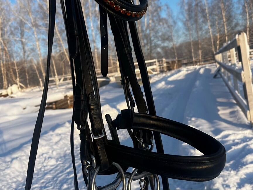 Мундштучное оголовье