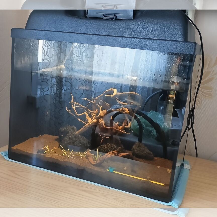 Аквариум и рыбки