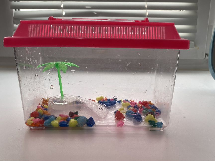 Аквариум для декоративных черепах