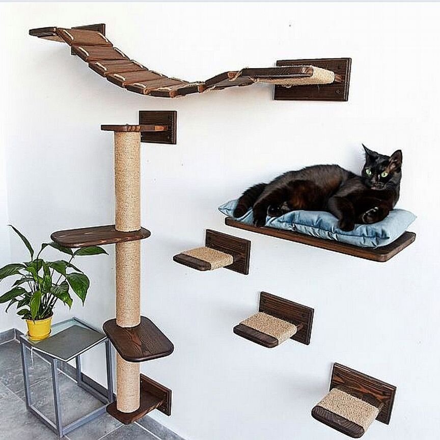 Игровые комплексы для кошек