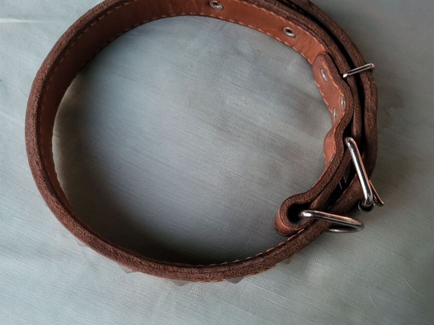 Ошейник для животного