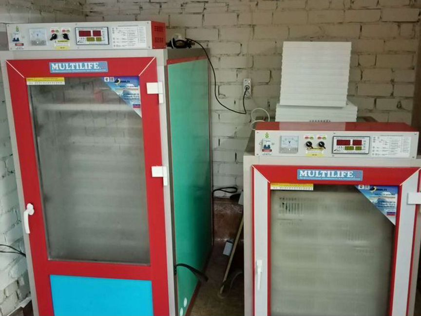 Инкубатор multilife