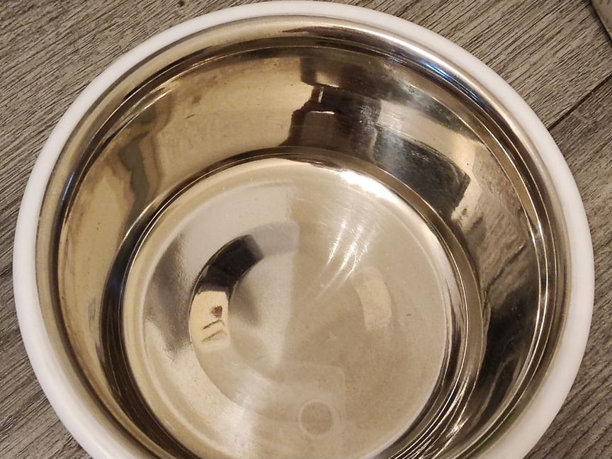 Миска для домашних животных