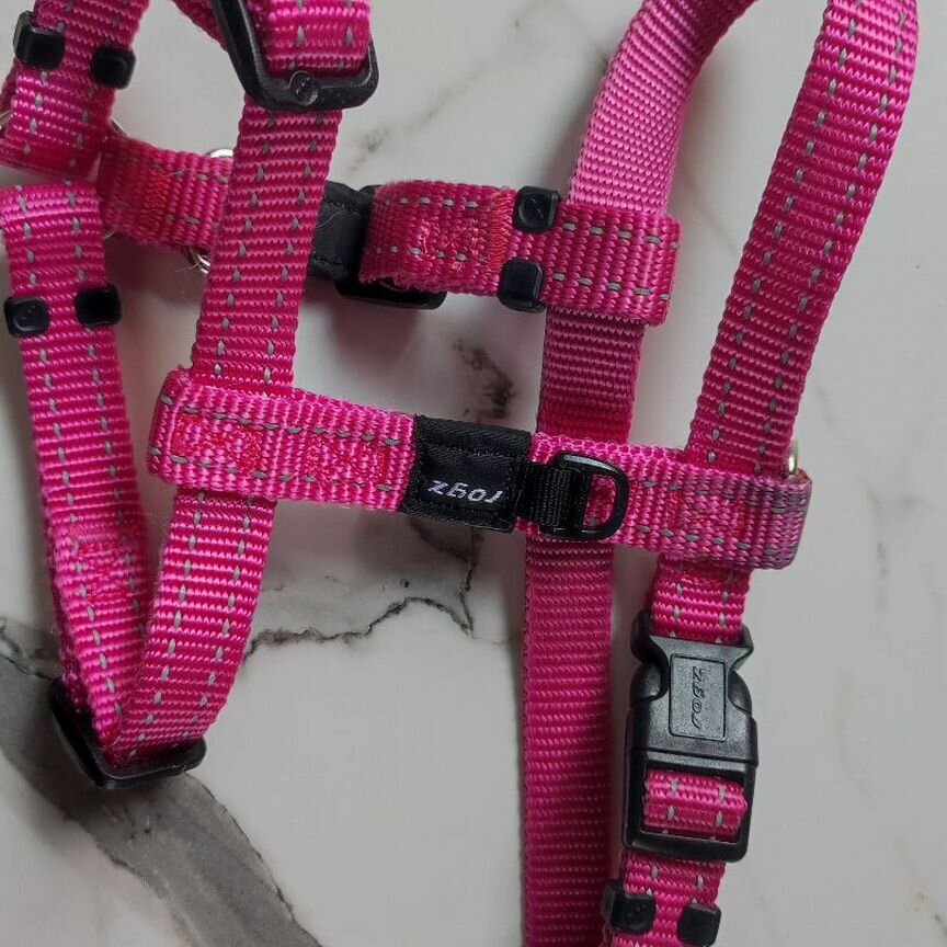 Шлейка для собаки Rogz