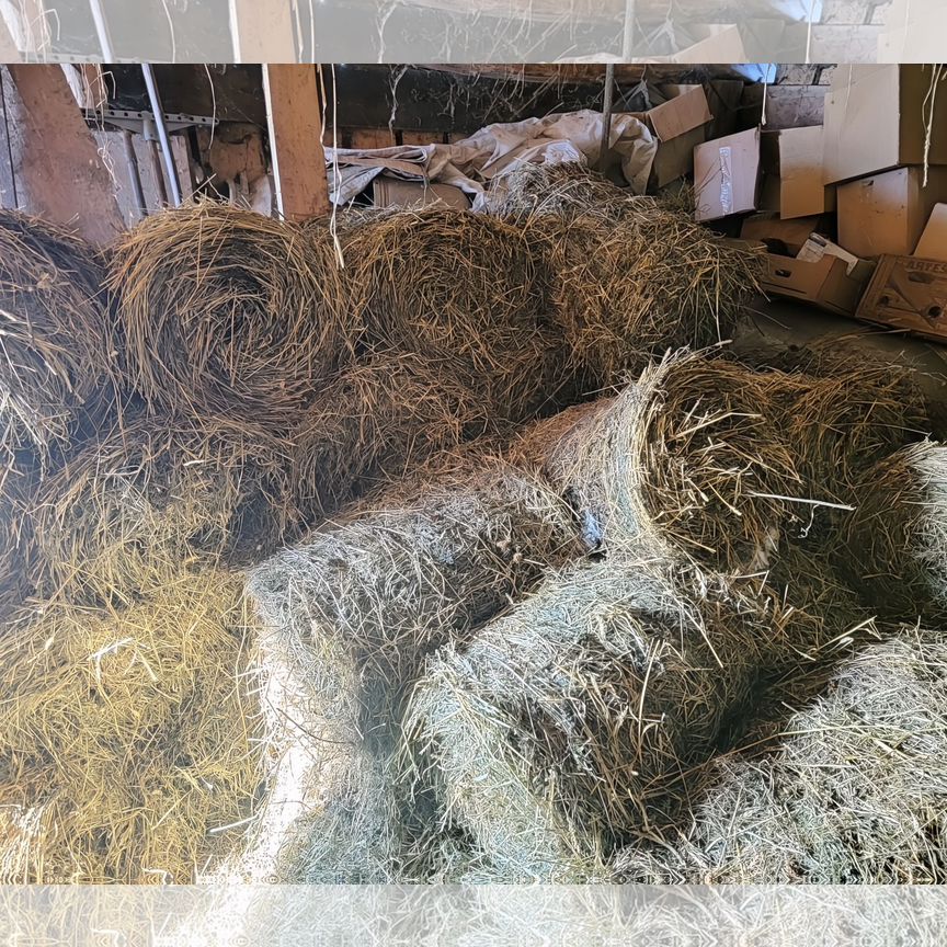 Сено в рулонах на подстилку