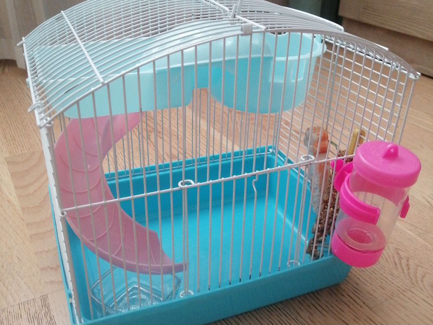 Клетка для грызунов бу