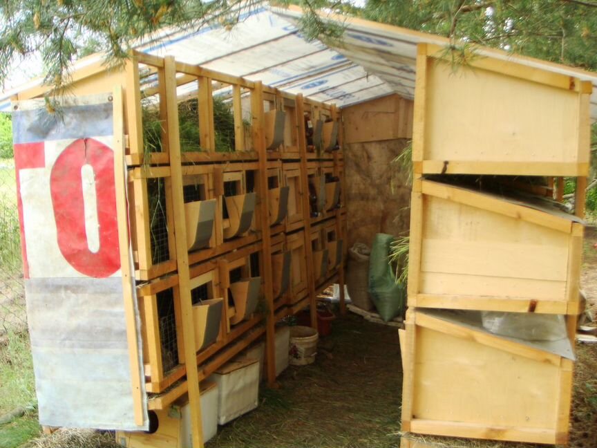 Мини ферма для разведения кроликов