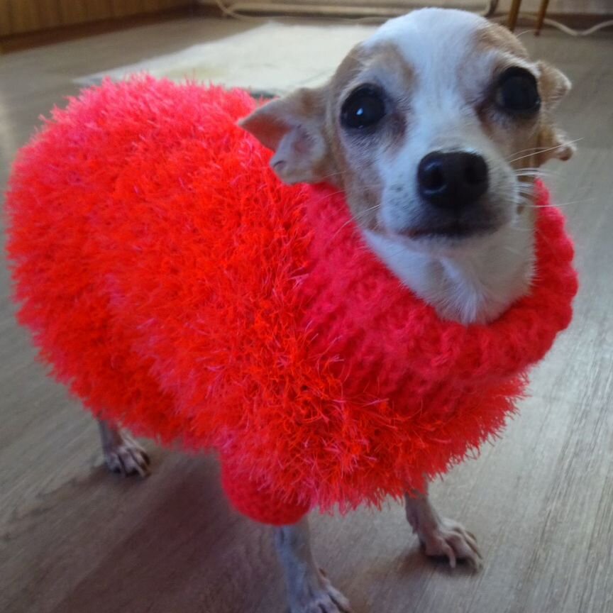 Свитерок "Аленький" для чихуа