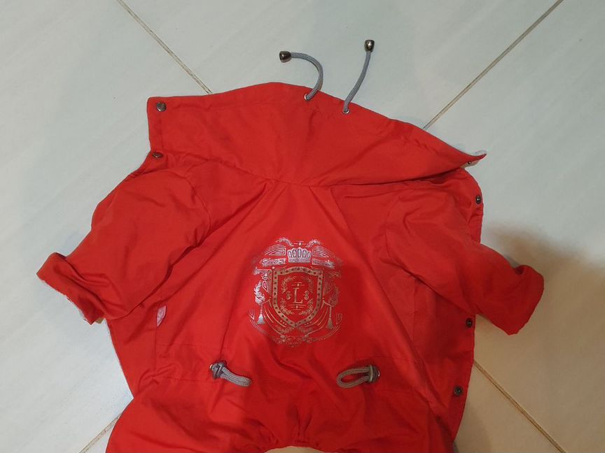 Одежда для маленьких собак limargy