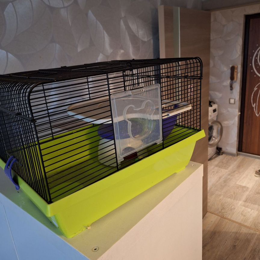 Клетка и переноски для хомяка или крысы