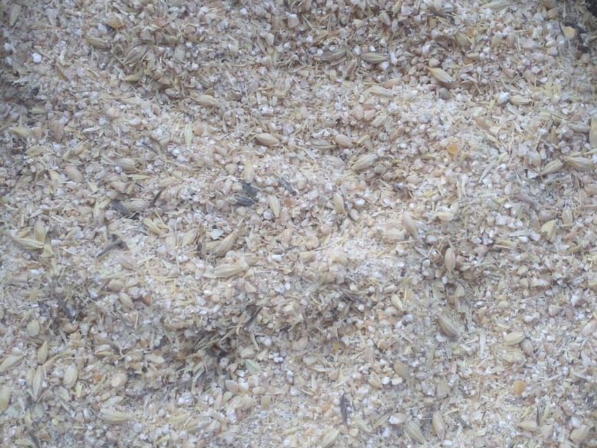 Дробленка овёс