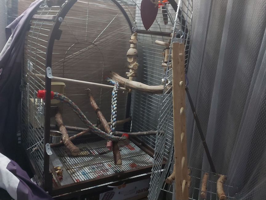 Клетка вольер для средних и крупных попугаев