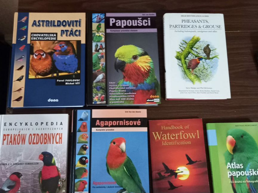 Книги попугаи
