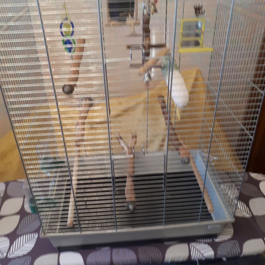 Клетка для попугая волнистики бу