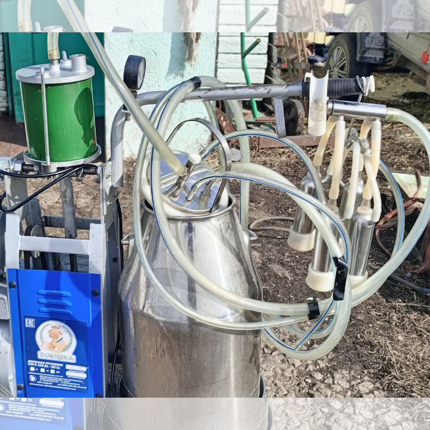 Доильный аппарат бу