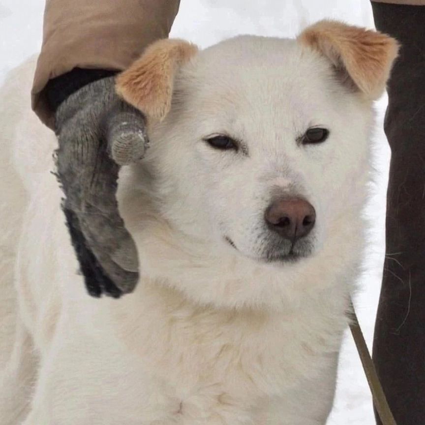 Ищет дом Флора