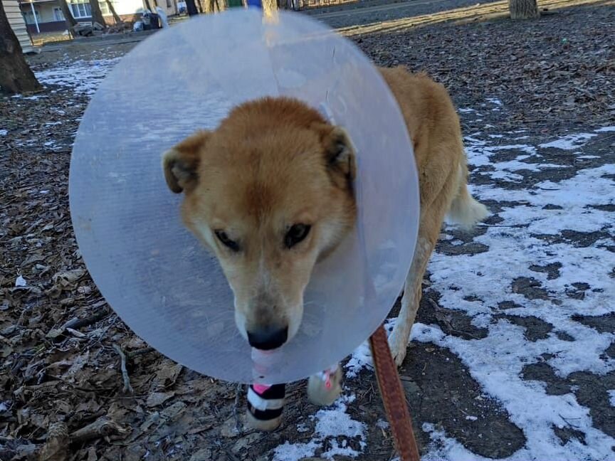 Лучик