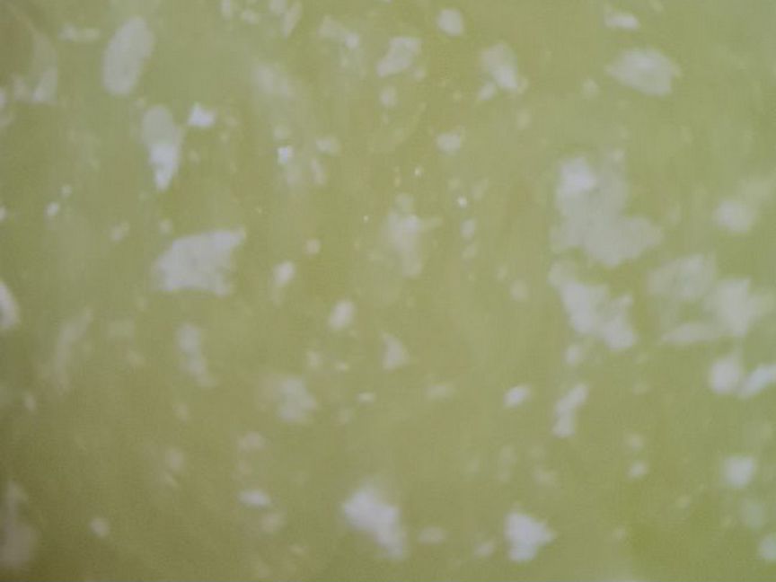 Молочная сыворотка