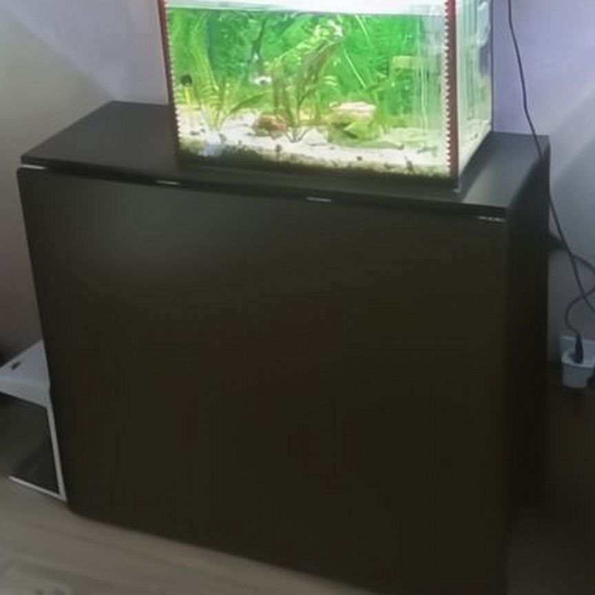 Продаю аквариумные растения,рыбок,креветок