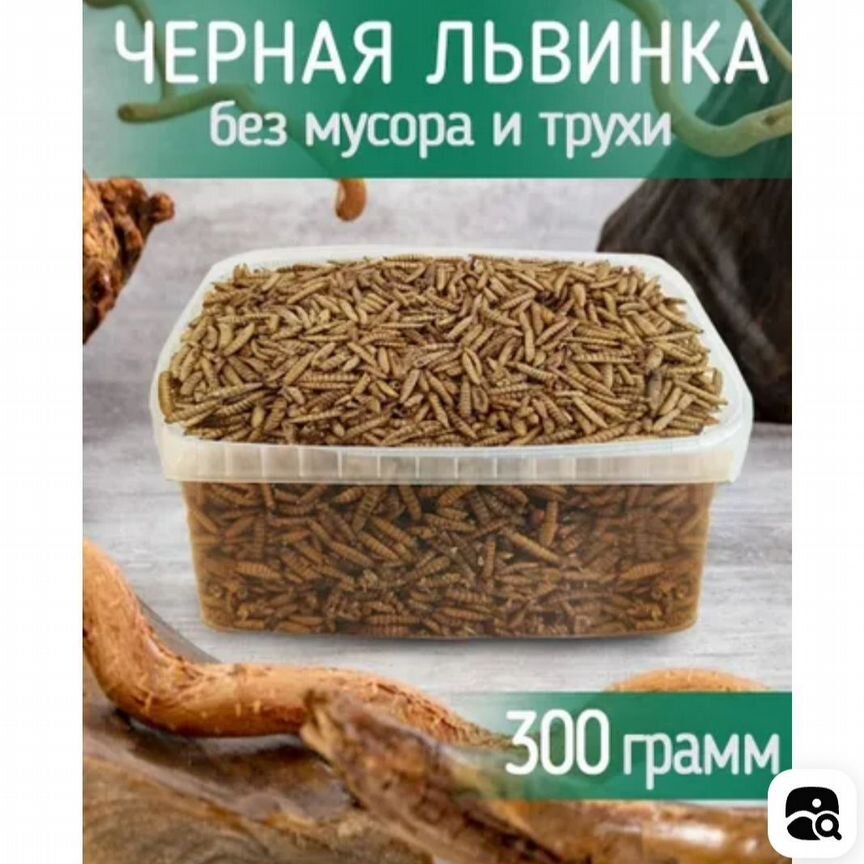 Лакомство для ежей и птиц Чёрная львинка