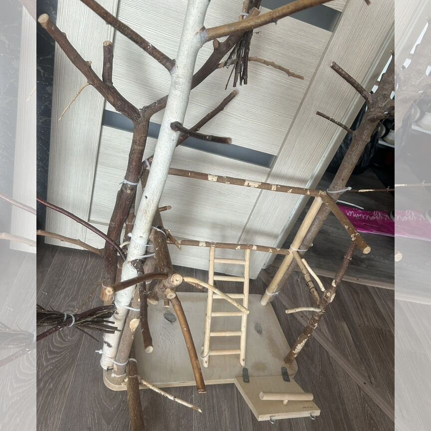 Площадка для попугаев
