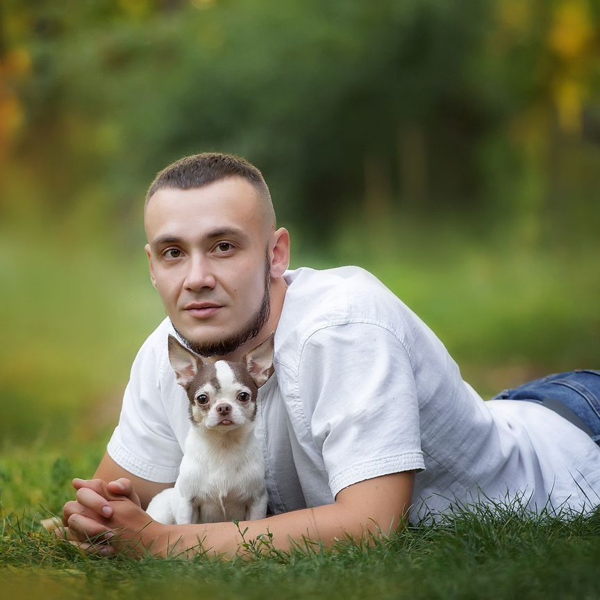 Чихуахуа Тоша