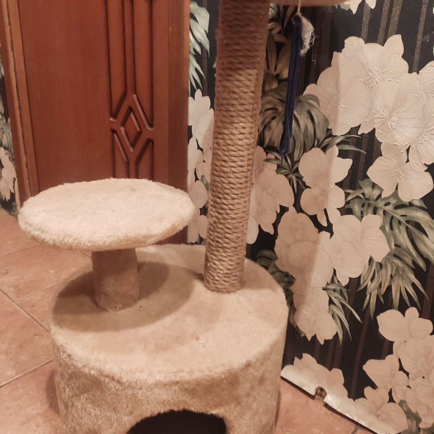 Домик для кошки с когтеточкой бу