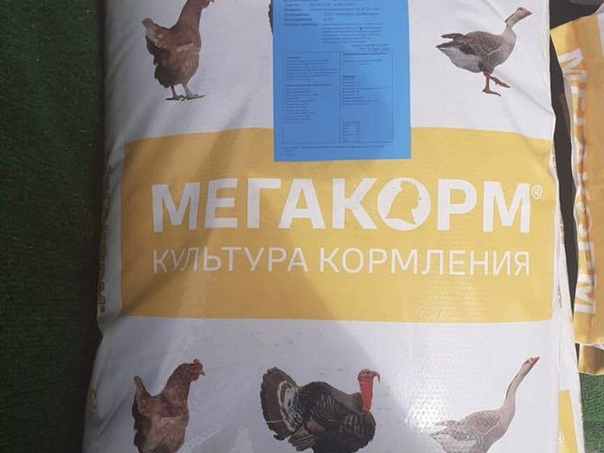 Корм для птиц