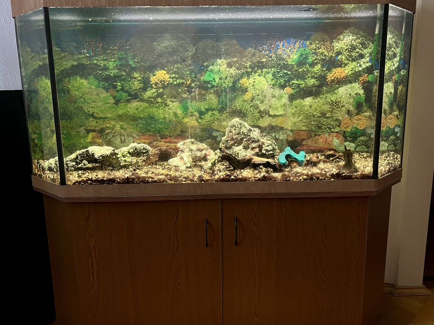 Аквариум с тумбой и фильтром 500 литров