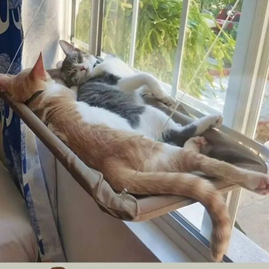 Гамак для кошек